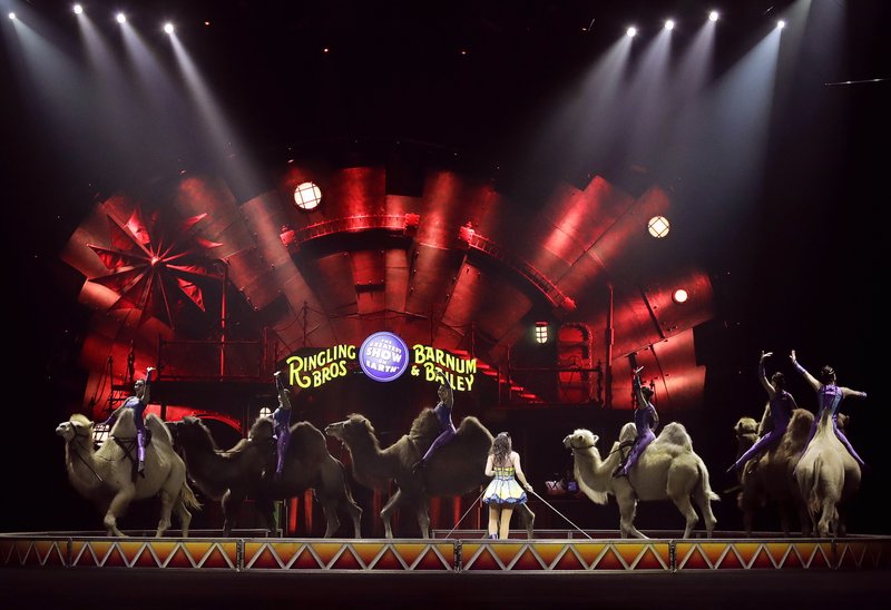 maly, too: Folding the Circus Tent