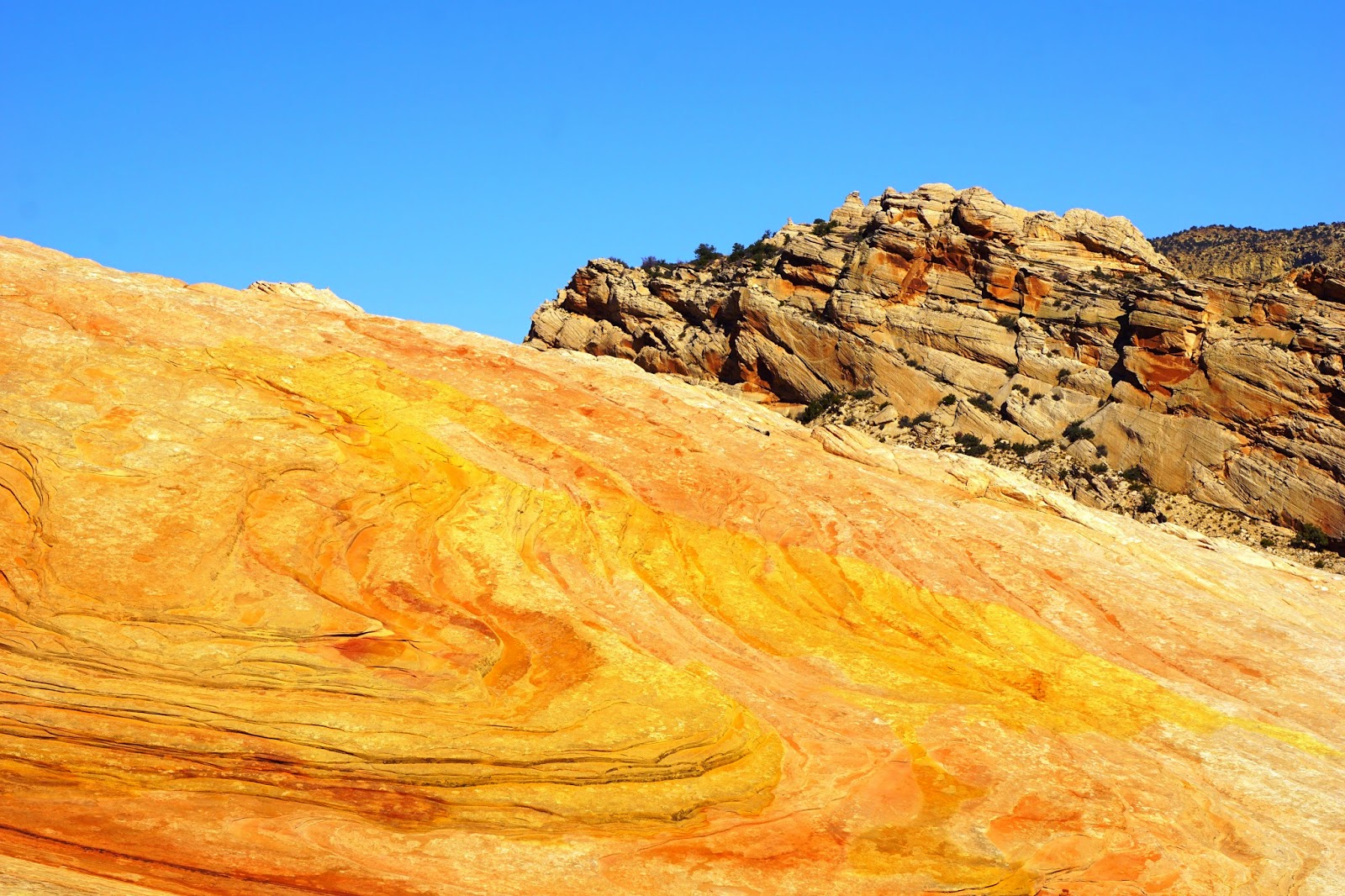 Lazarow World-Hike-About: 20.36 Big Water, Utah: Yellow Rock (Mountain ...