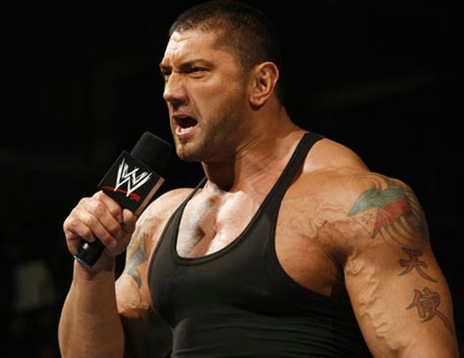 WORLD WRESTLING ENTERTAINMENT: WWE WRESTLER