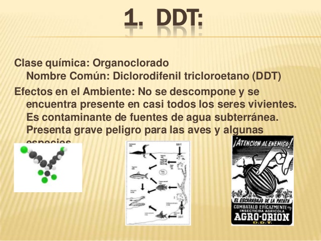 LOS TRANSGÉNICOS SON PLAGUICIDAS: COMEMOS VENENO | Despierta tú que ...