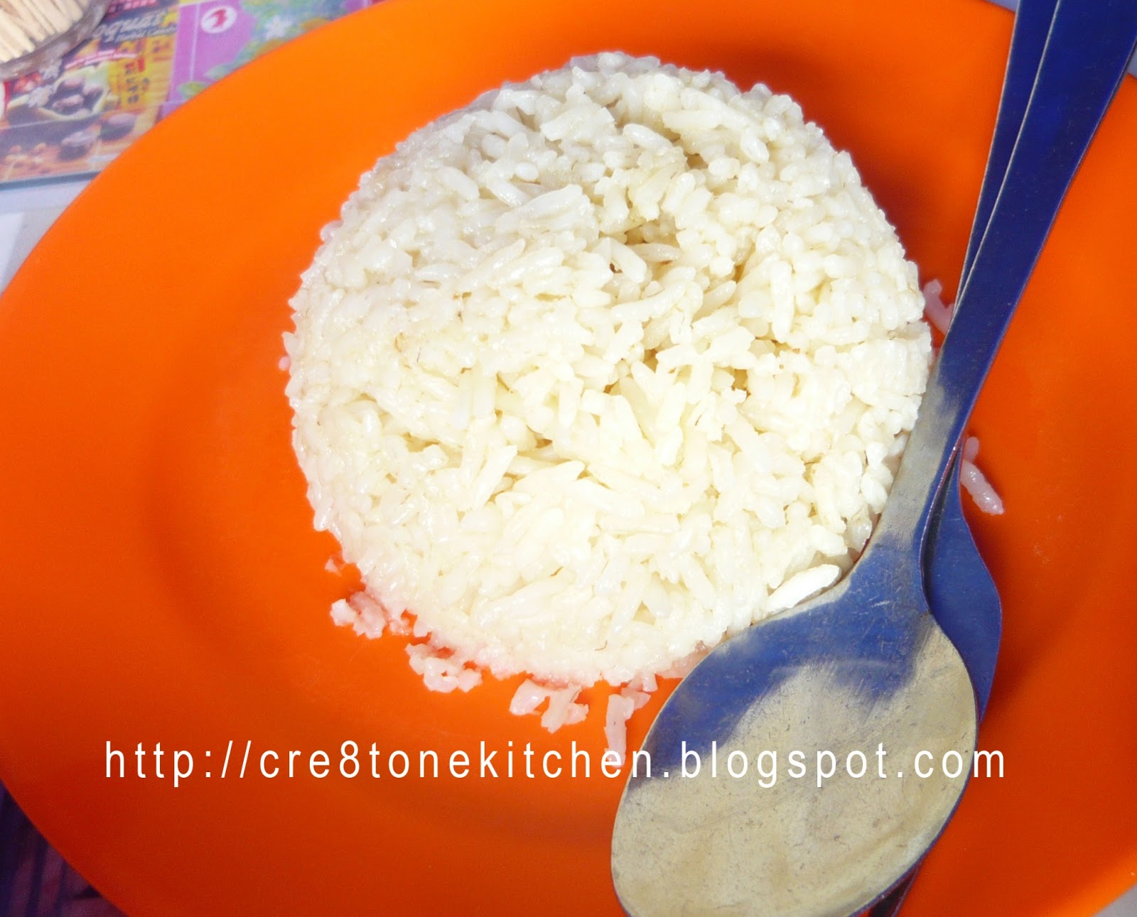 Little Kitchen: Lou Wong Chicken Rice @ Ipoh