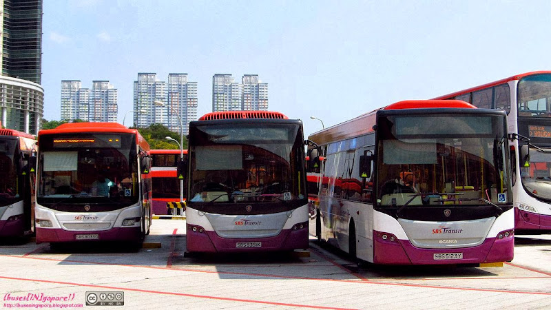 (buses[IN]gapore!): SBS Transit : Scania K230UB / Gemilang (SBS8033D)