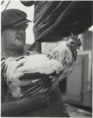 Fair Use: Man With Rooster