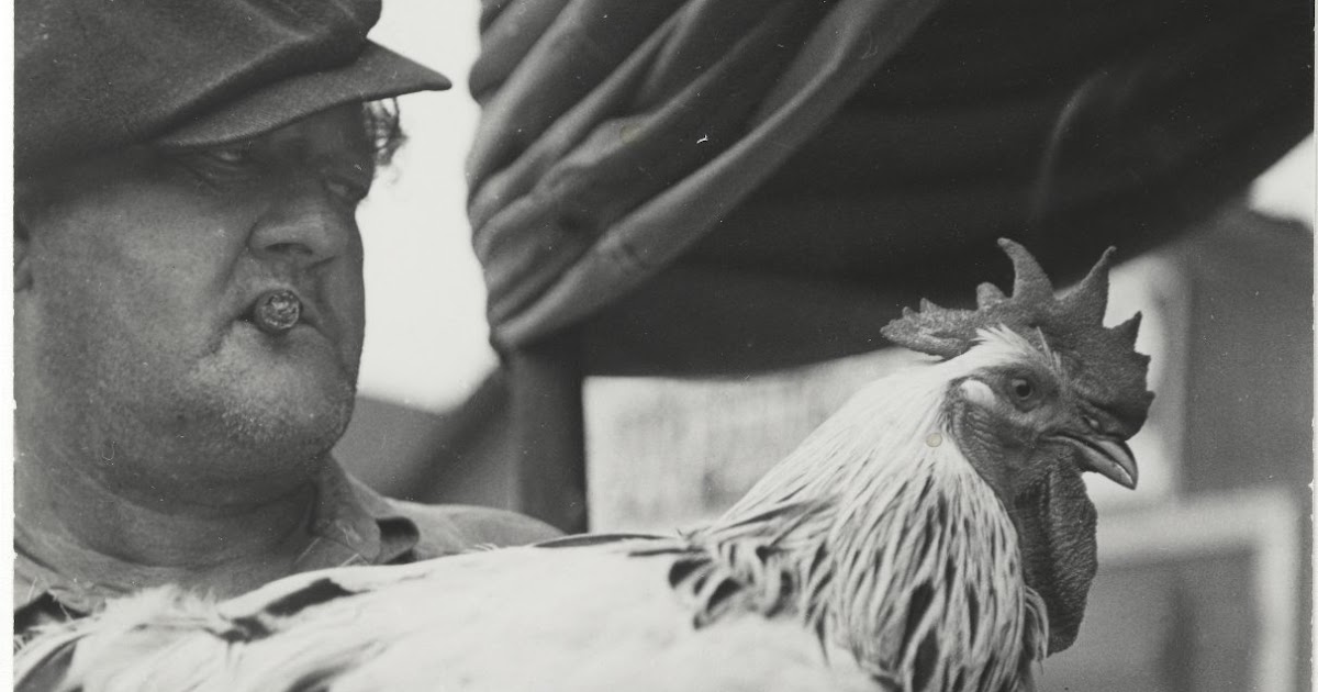 Fair Use: Man With Rooster