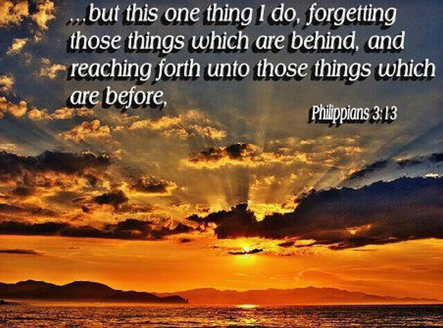 Julie's Hitchens Blog