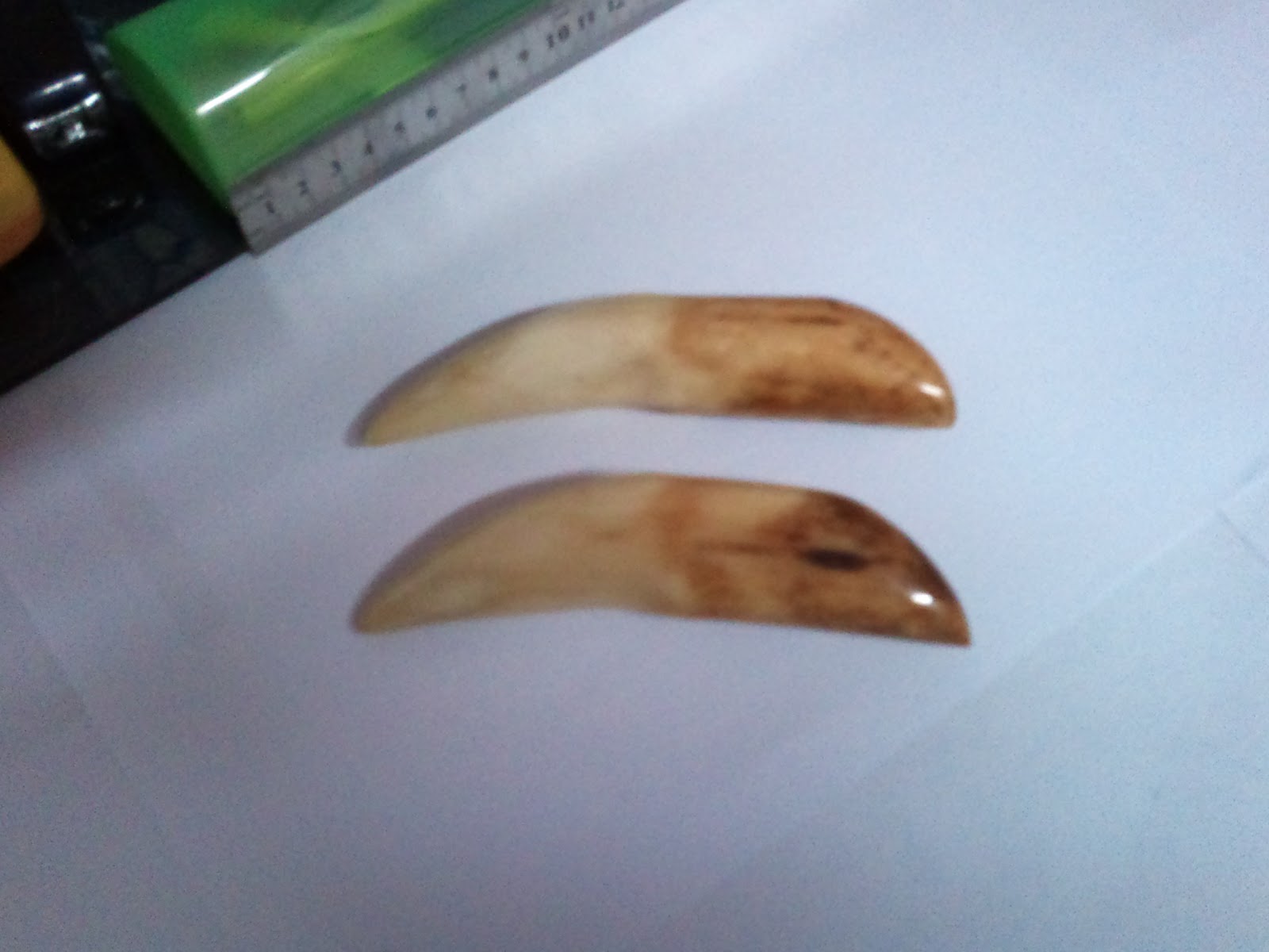 Blog Dunia Mistik 1001: Taring Harimau Sumatera... dengan Izin-ALLAH ...