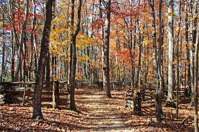 A is for Adventure: Hiking at Hanging Rock State Park (North Carolina)