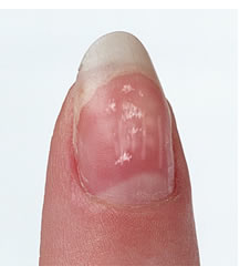 MAKEUPARTY!! IL MONDO DEL MAKE UP E DELLA BELLEZZA...A PORTATA DI CLIK!!!