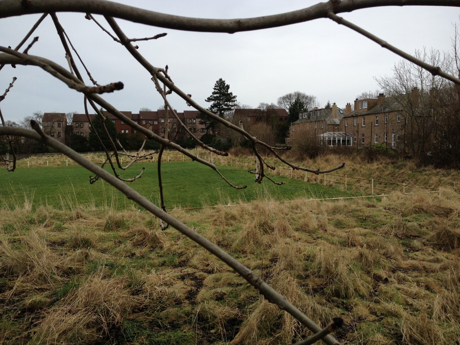 Hopping all over the World Two: City Park (Edinburgh)