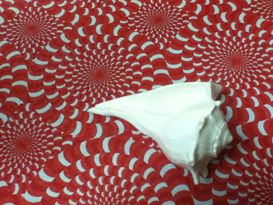 Sri Lakshmi Shankh: Original Valampuri Sangu For Sale in Chennai