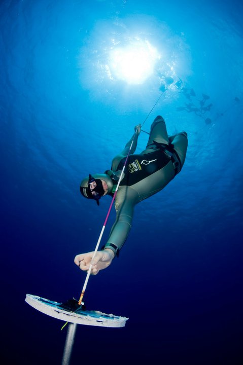 Freediving