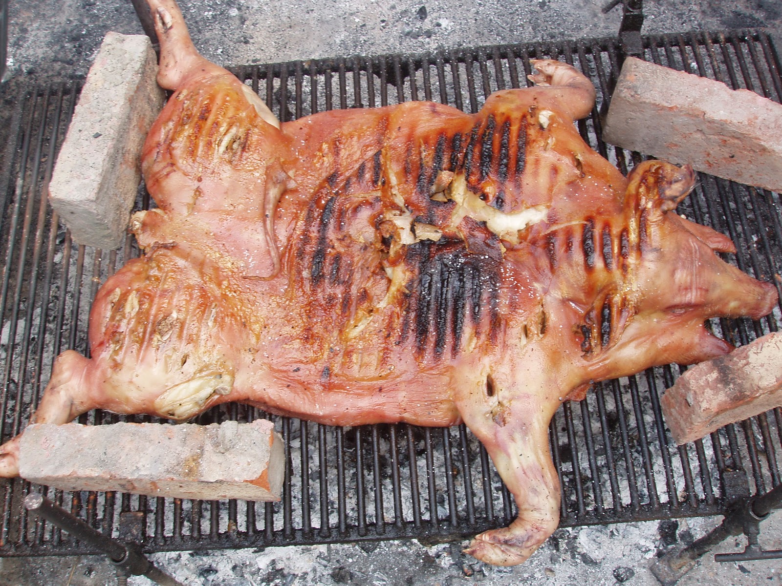 "LOS ENEMIGOS DE LA VACA": FUE LECHÓN NO MÁS.-