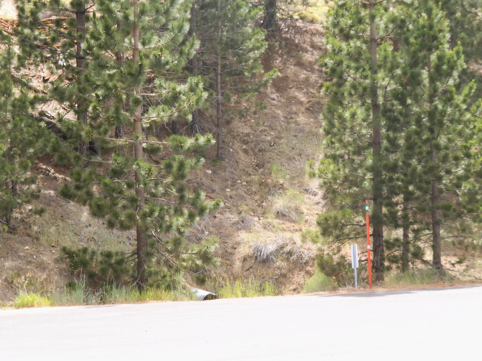 MIke's SOTA Adventures: Kratka Ridge W6/CT-014