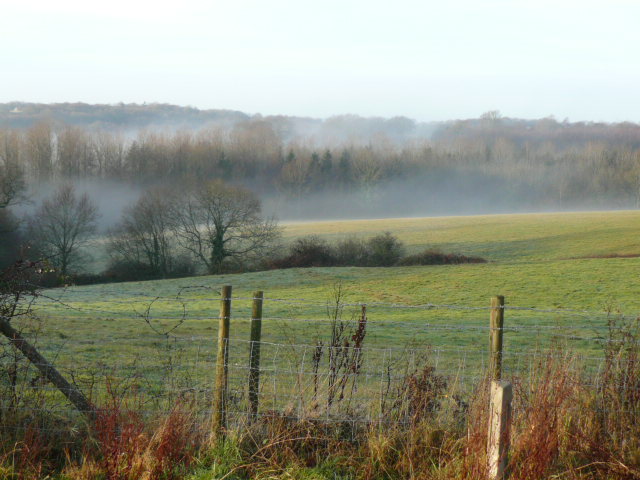 Kindred of the Quiet Way: Divine order - nature, religion and the being ...
