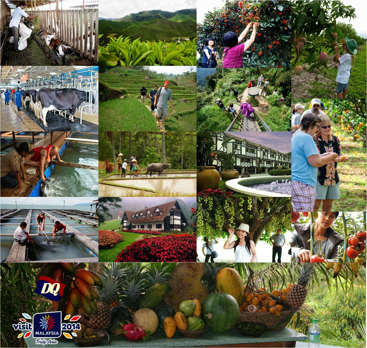 DANIQAR MANAGEMENT AND SERVICES: DANIQAR AGRO TOURISM