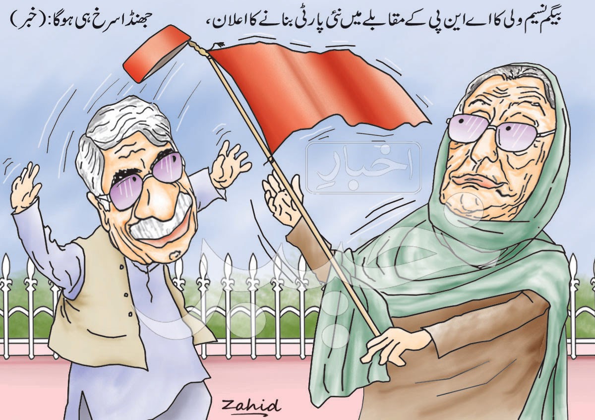 Pakistan Comics: Daily Comics