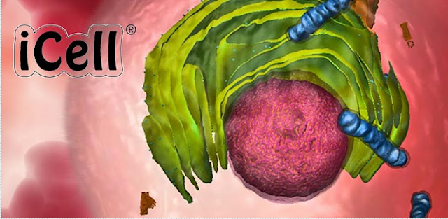 Crea y aprende con Laura: iCell. Visita una célula en 3D. Aplicación ...