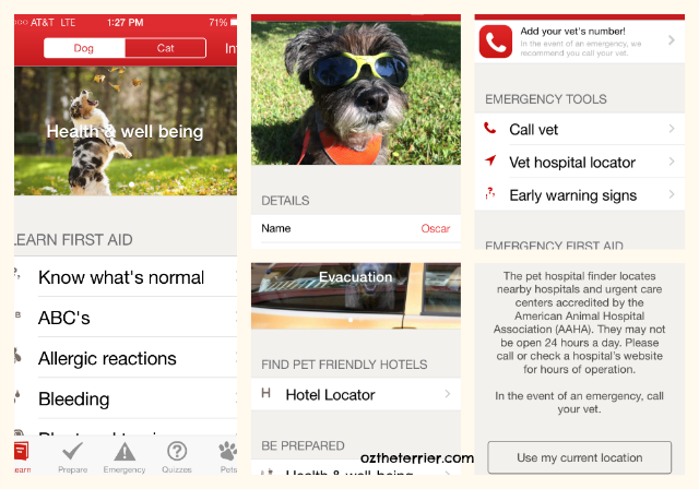 It's Pet First Aid Month and There's an App for That! | Oz the Terrier ...