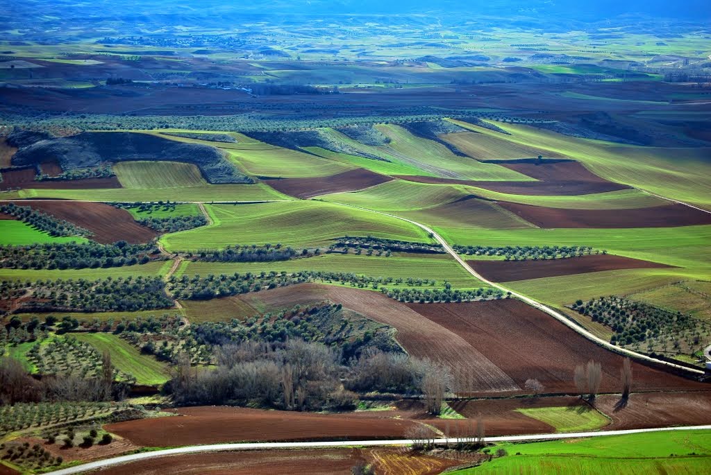 Biología a color: Los Páramos. Encinar de la Alcarria