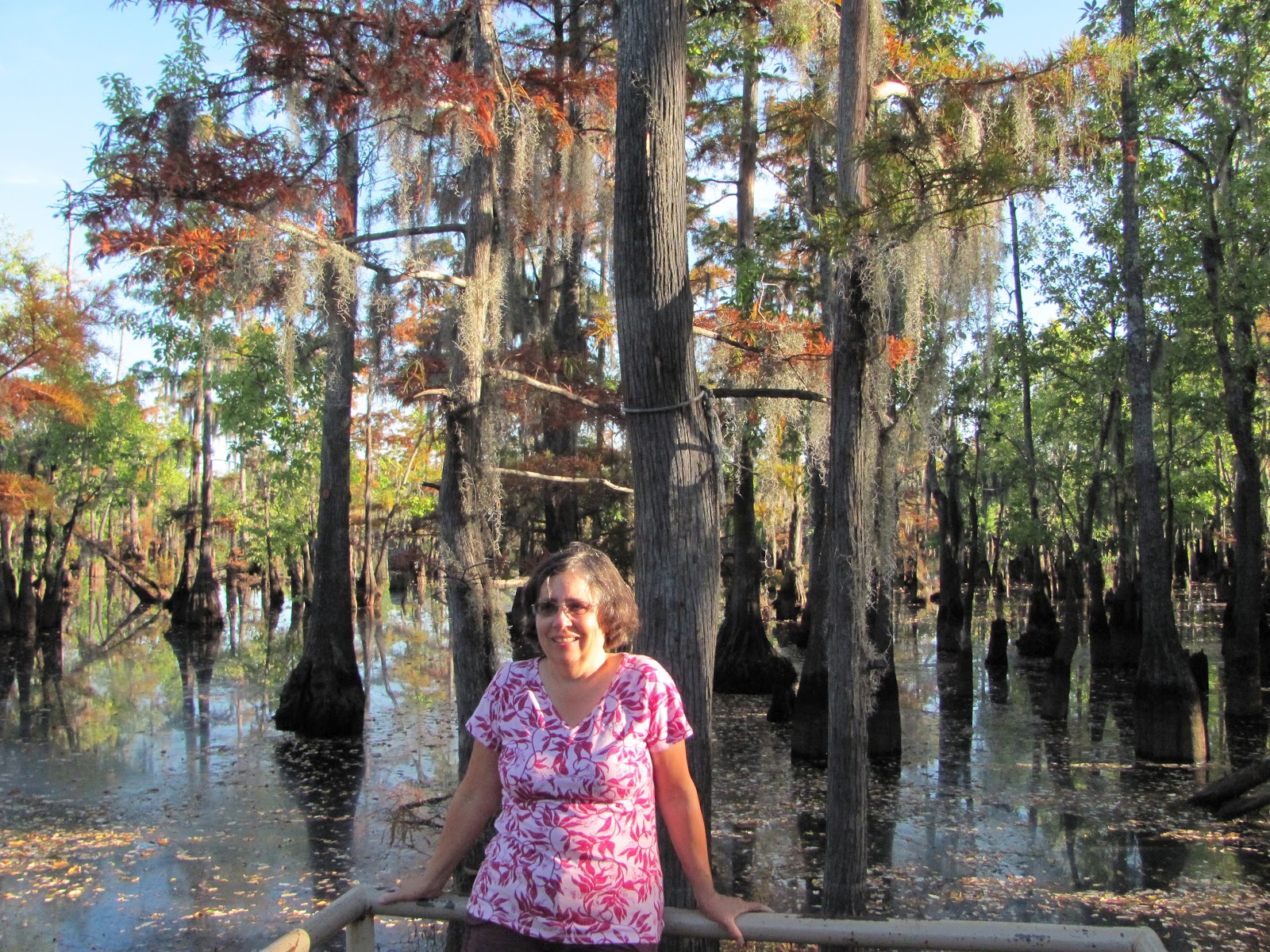 Travels with Raindrop: Pogo land!