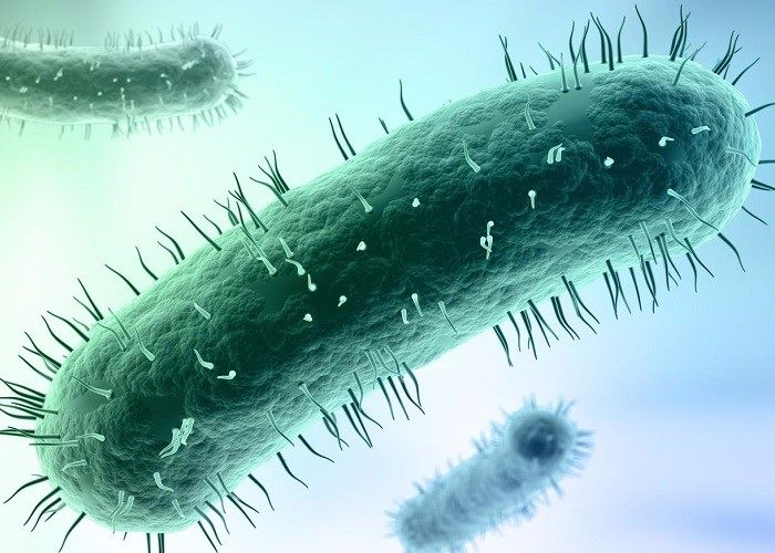 PREPA 10 TPI: Teoria quimiosintetica sobre el origen de la vida
