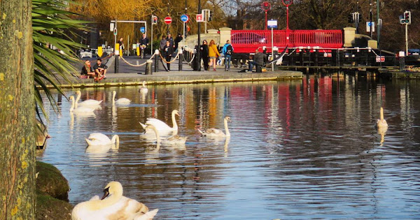 How to Make the Most of a Day in Ranelagh (and Nearby) | Sidewalk ...