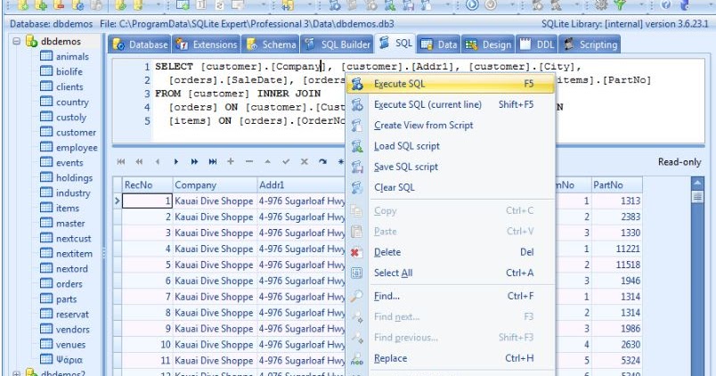 TecUpdater.com: SQLite Expert Professional v3.4.23 Portable:Best SQL ...