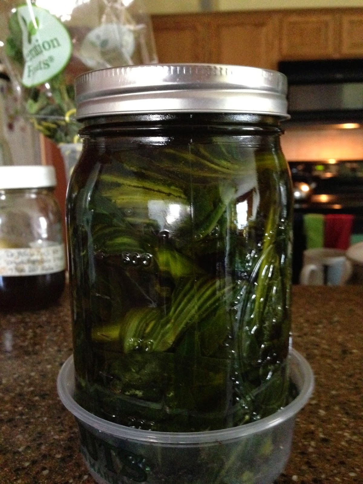 Weird Shit in Jars: Creation and Alchemy in Glass