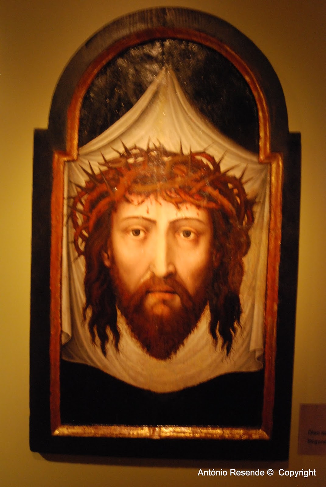 A U T O C A R A V A N A: Tour de France... e não só... Parte VI