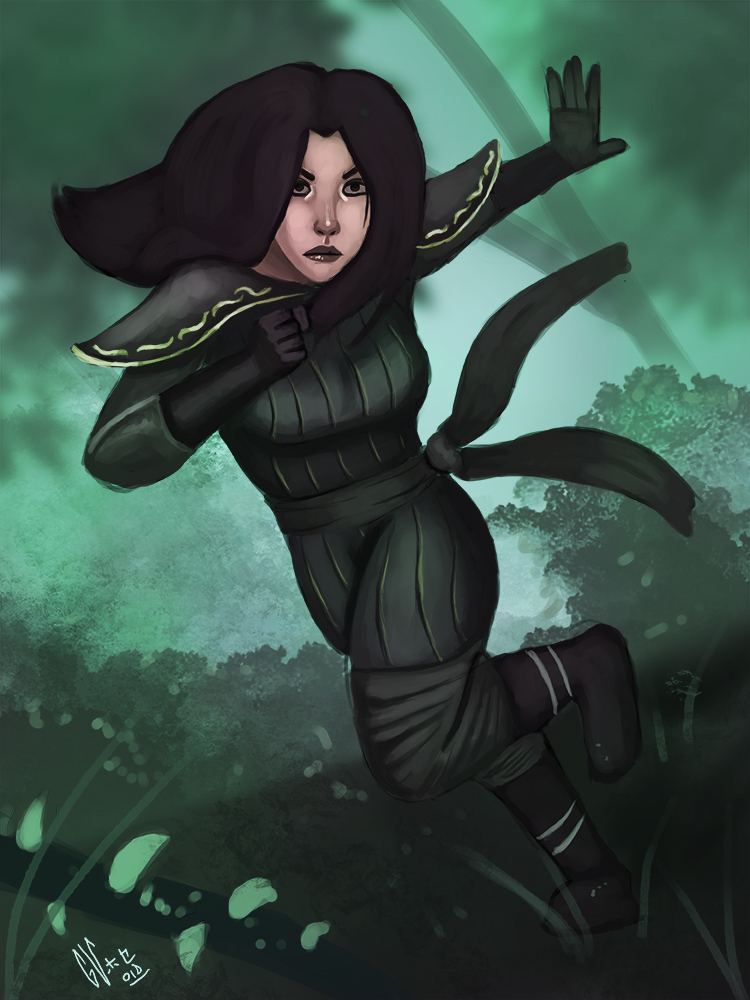 Vandrake's Drawings: Forest ninja