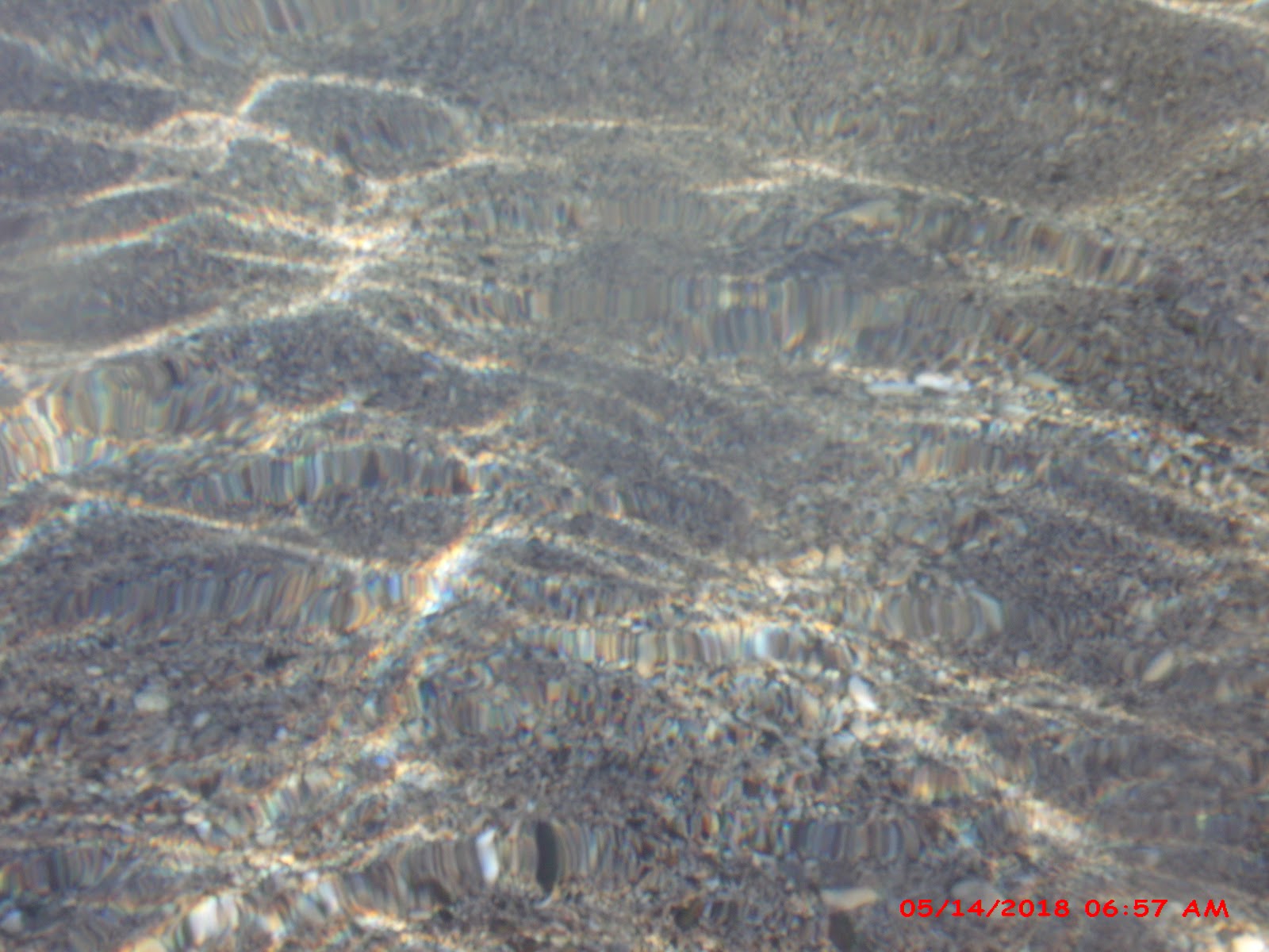 Cerulean Rose Diary: Summer Trip to Bauan , Batangas - New Yorkers Resort