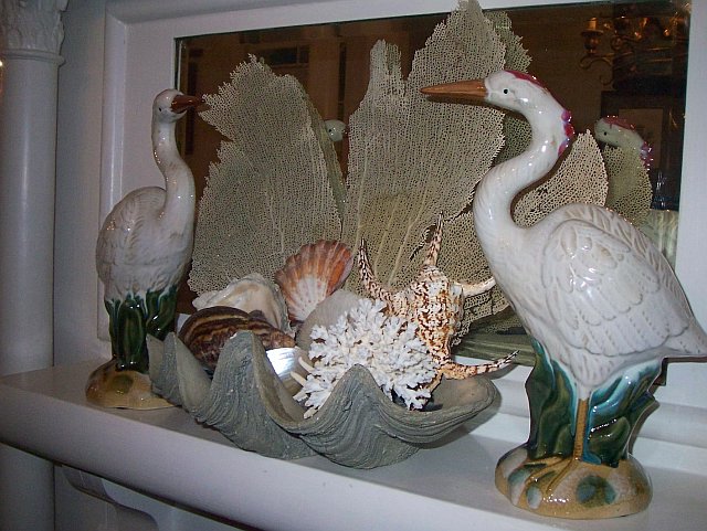 The Uptown Acorn: CLAMoring for the Clam Shell