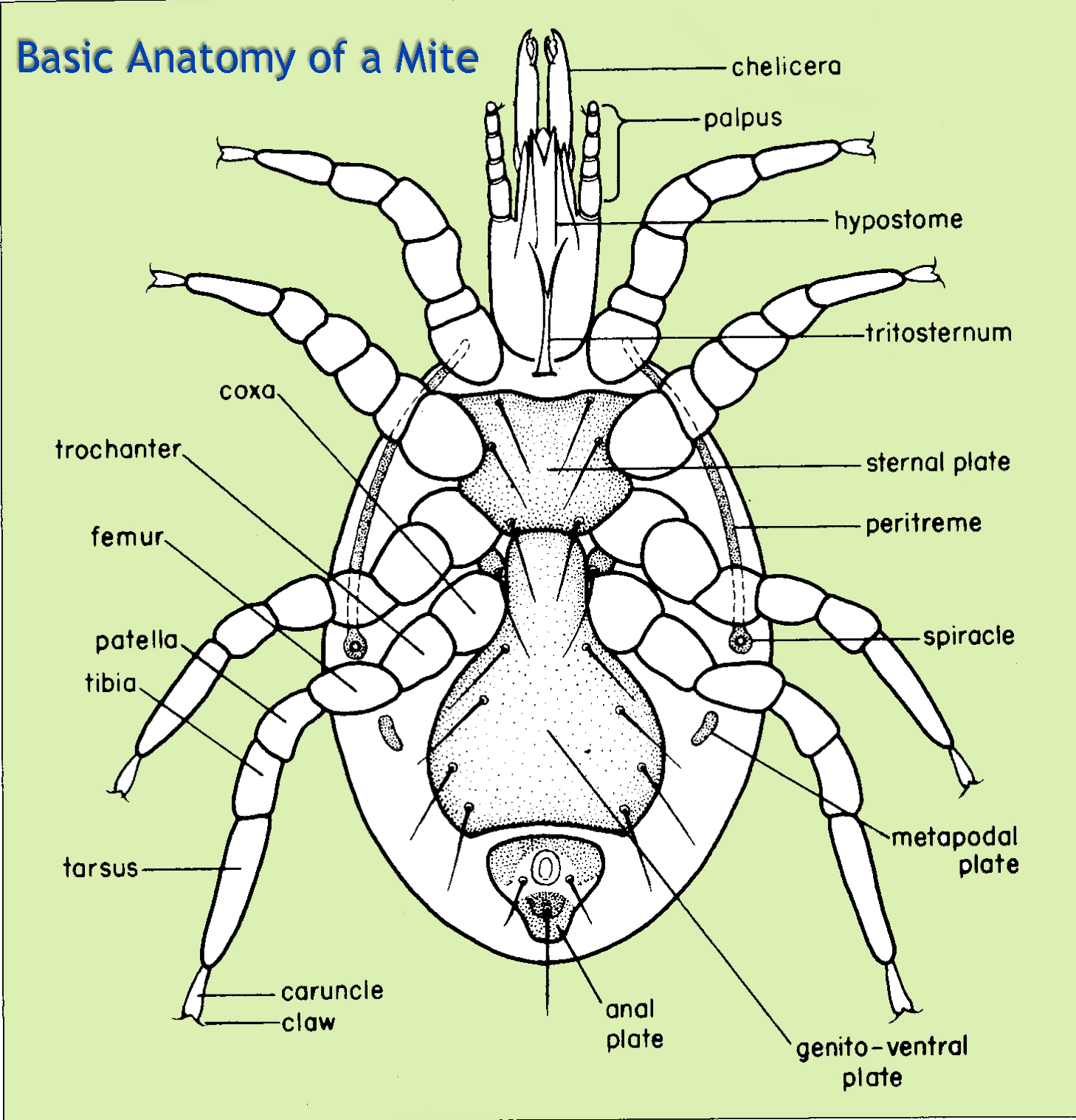 AGROWANGIagribisnis: Februari 2012