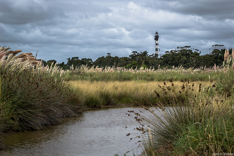 RESERVA NATURAL PUNTA RASA : FOTOS