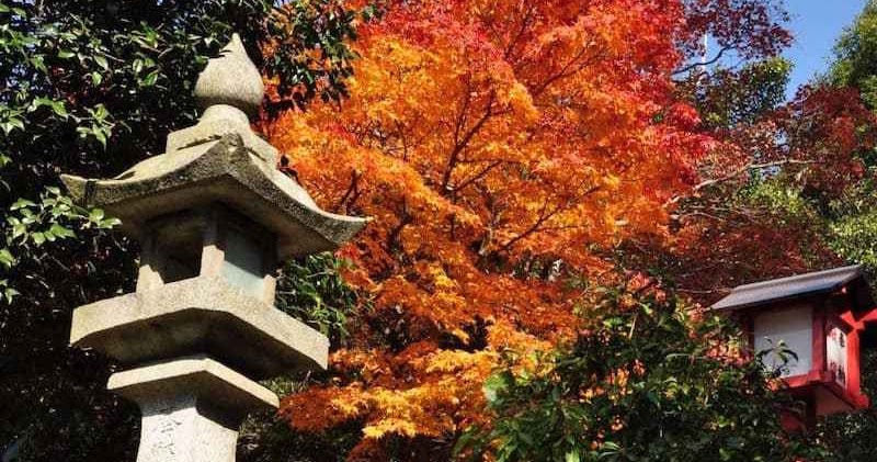 Tierra Pura de la Luz Serena: Diálogos en Sueños: Las Enseñanzas de ...