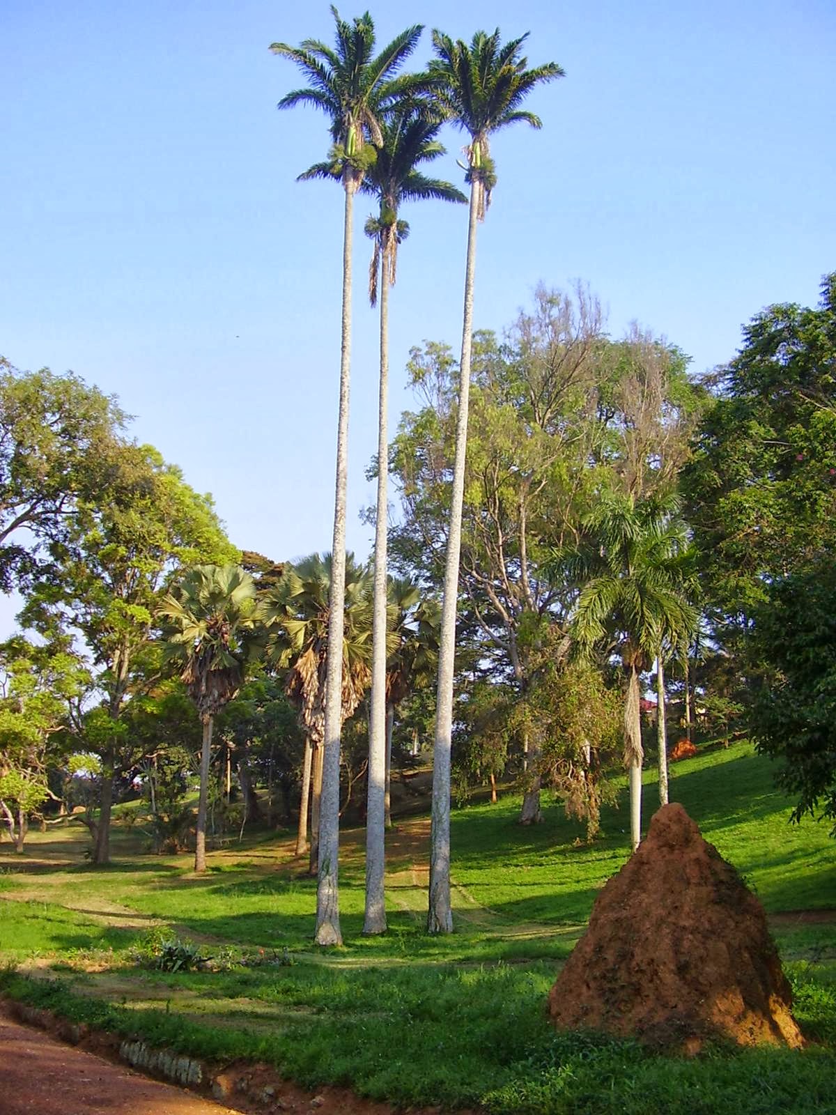 This Life: Going places in Uganda