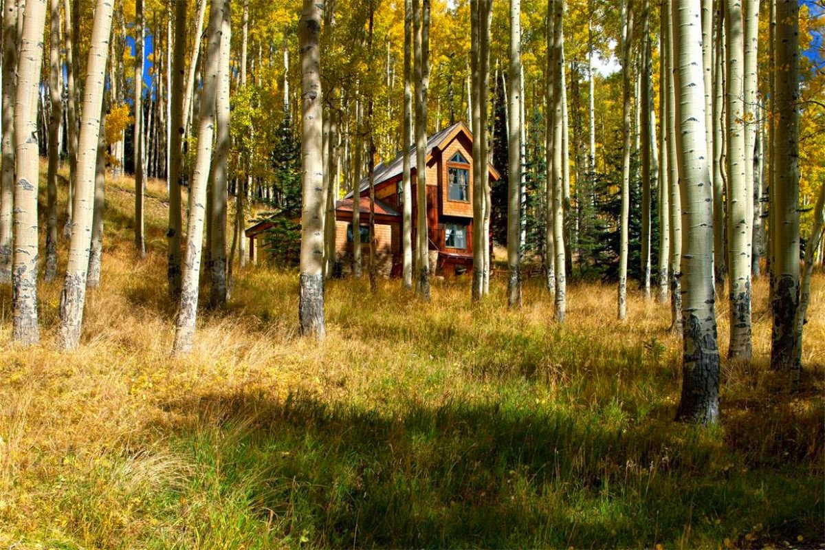 DesigningLuxury.com: Inside the Telluride Ranch Home of Tom Cruise