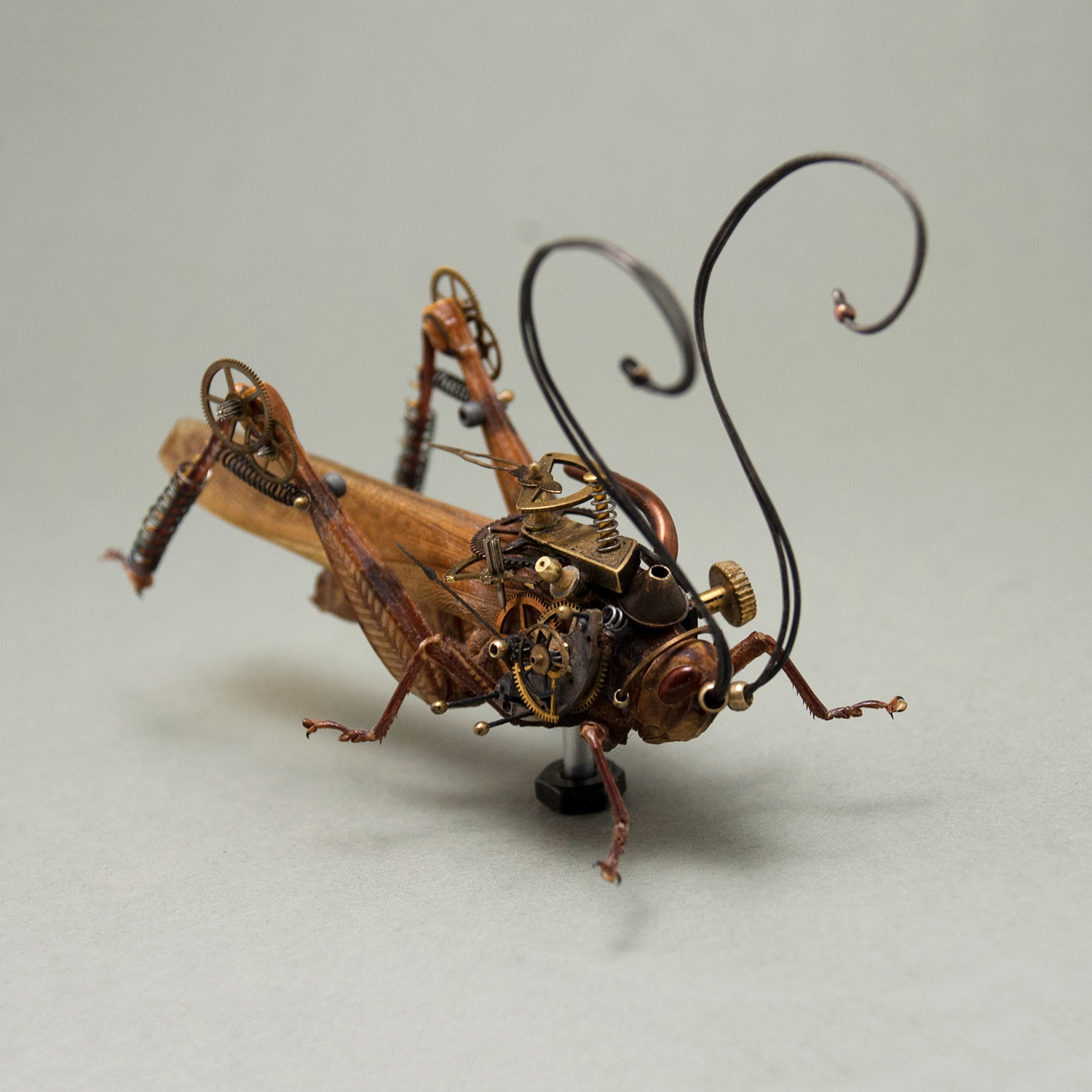 Sculpture - Steampunk - Insects - Mike Libby (Insect Lab)
