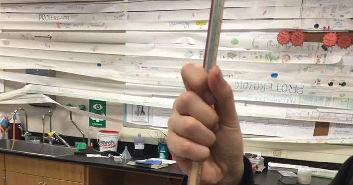 Anatomy/physio Blog: Reflex Lab