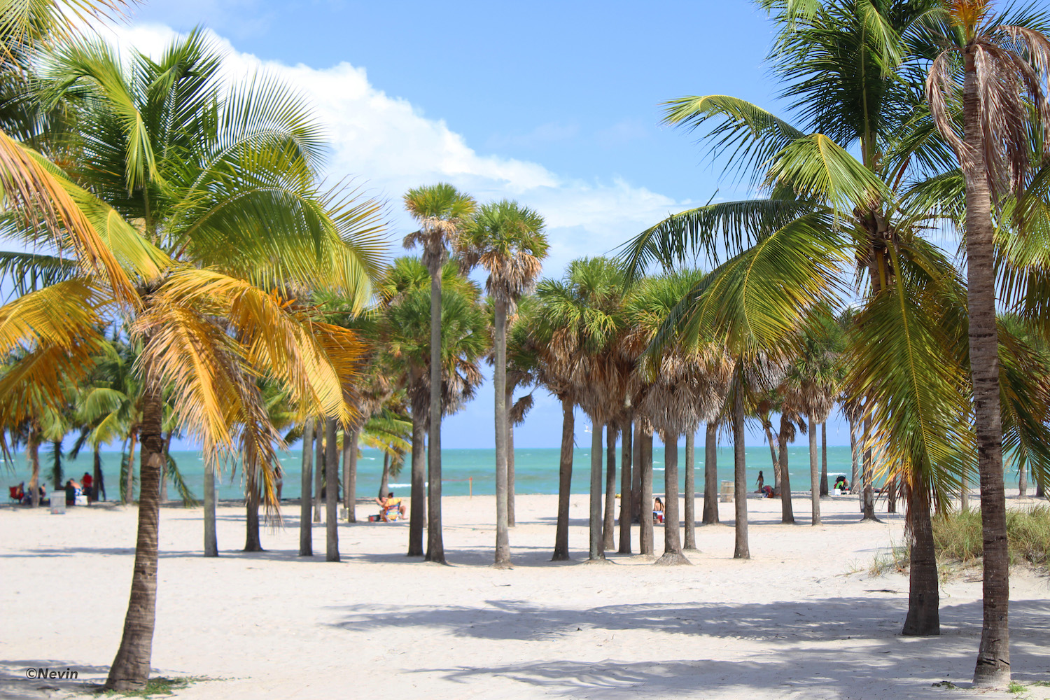 Crandon Park Beach, Miami - THROUGH THE LENS