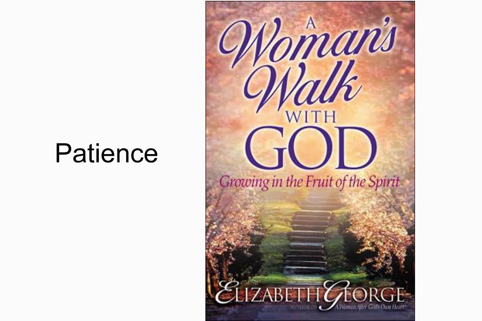 Melanie Britt | embrace.lifes.journey.: A Womans Walk with God | Patience