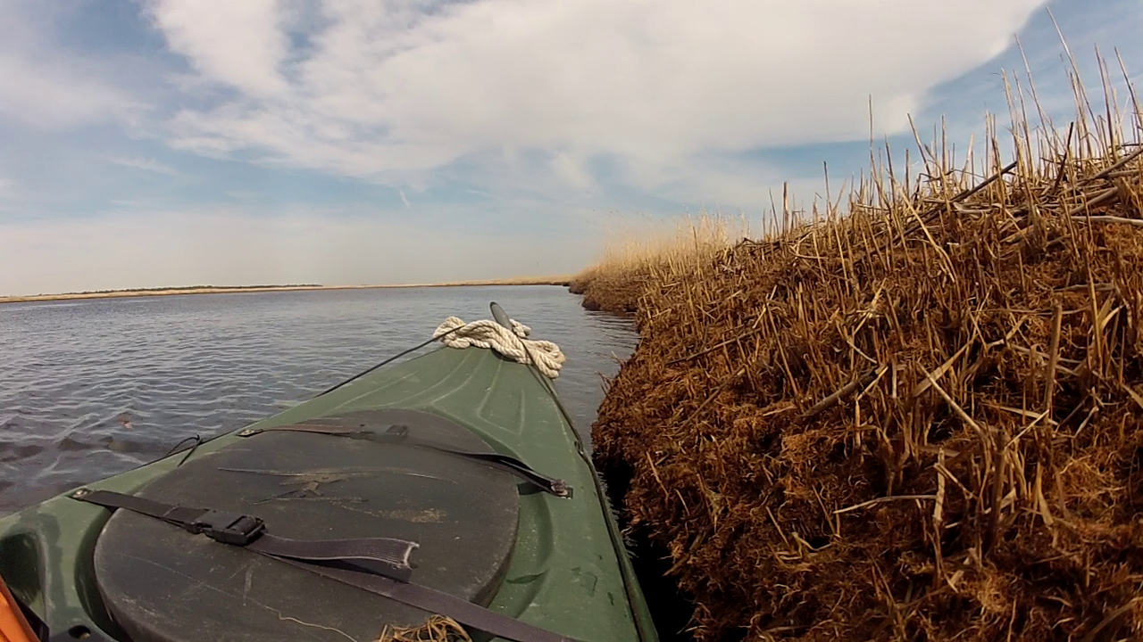 new jersey fishing report | fishing new jersey | NJ fishing | fishing ...