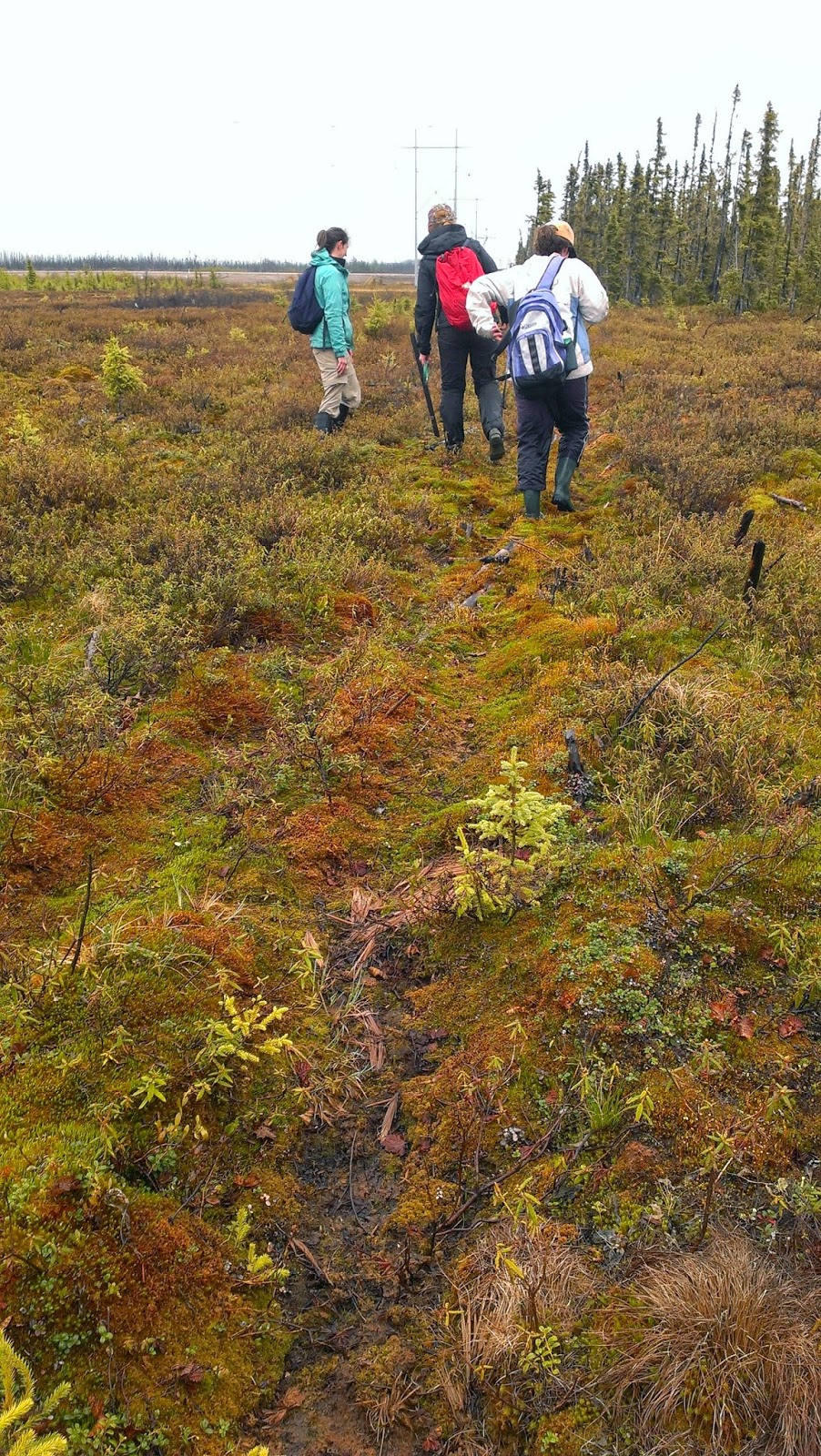 The 55th Parallel: An Athabasca Welcome