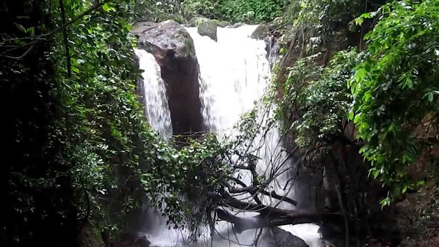 10+ Best Waterfalls in Goa That You Must Visit Once - Home