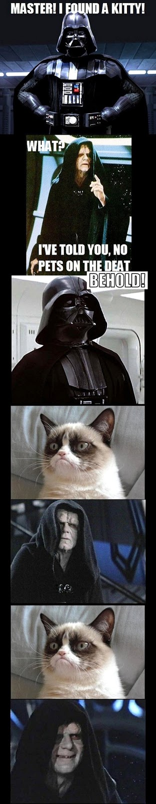 Grumpy Cat: Star Wars
