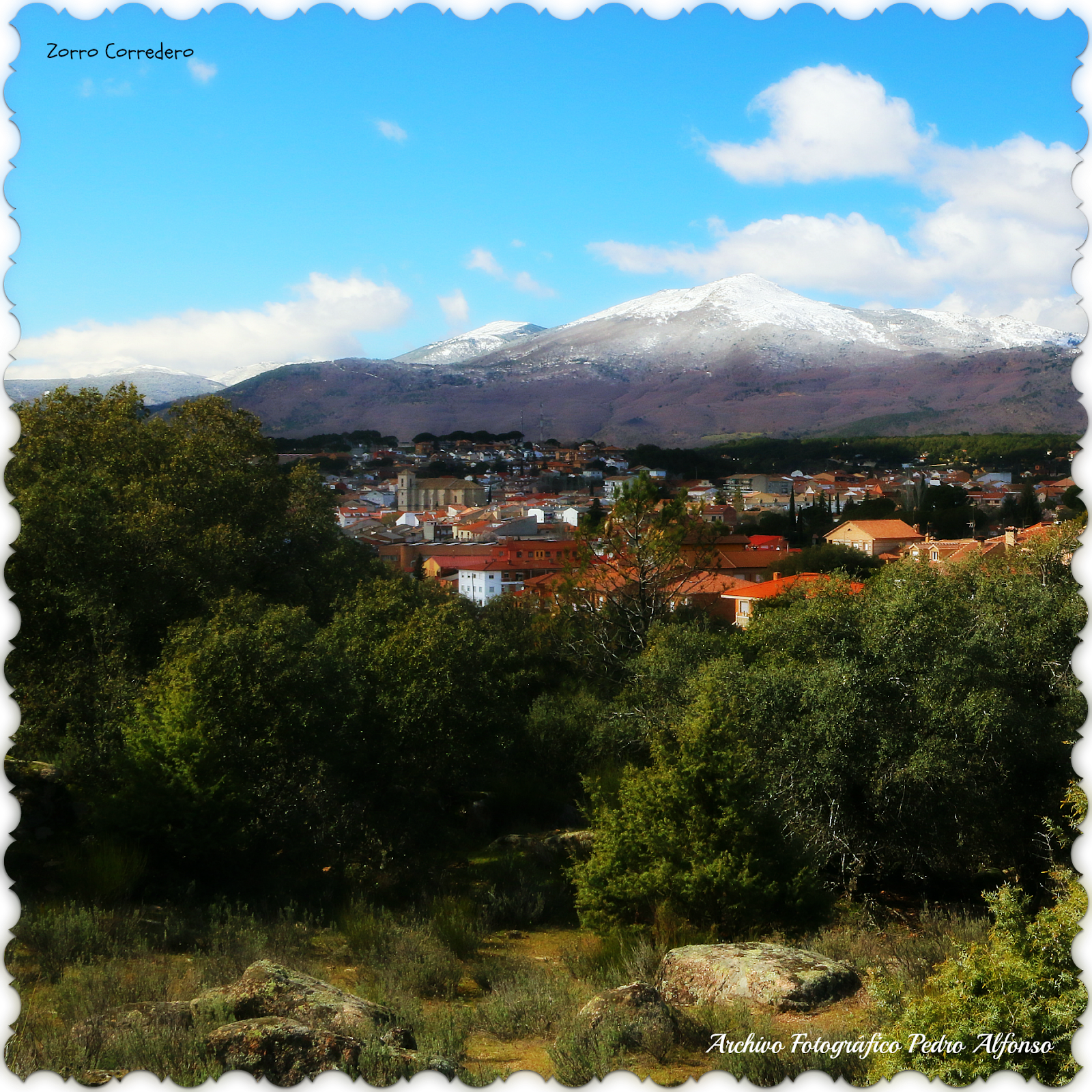 Zorro Corredero de Cadalso de los Vidrios: This is why Cadalso is one ...