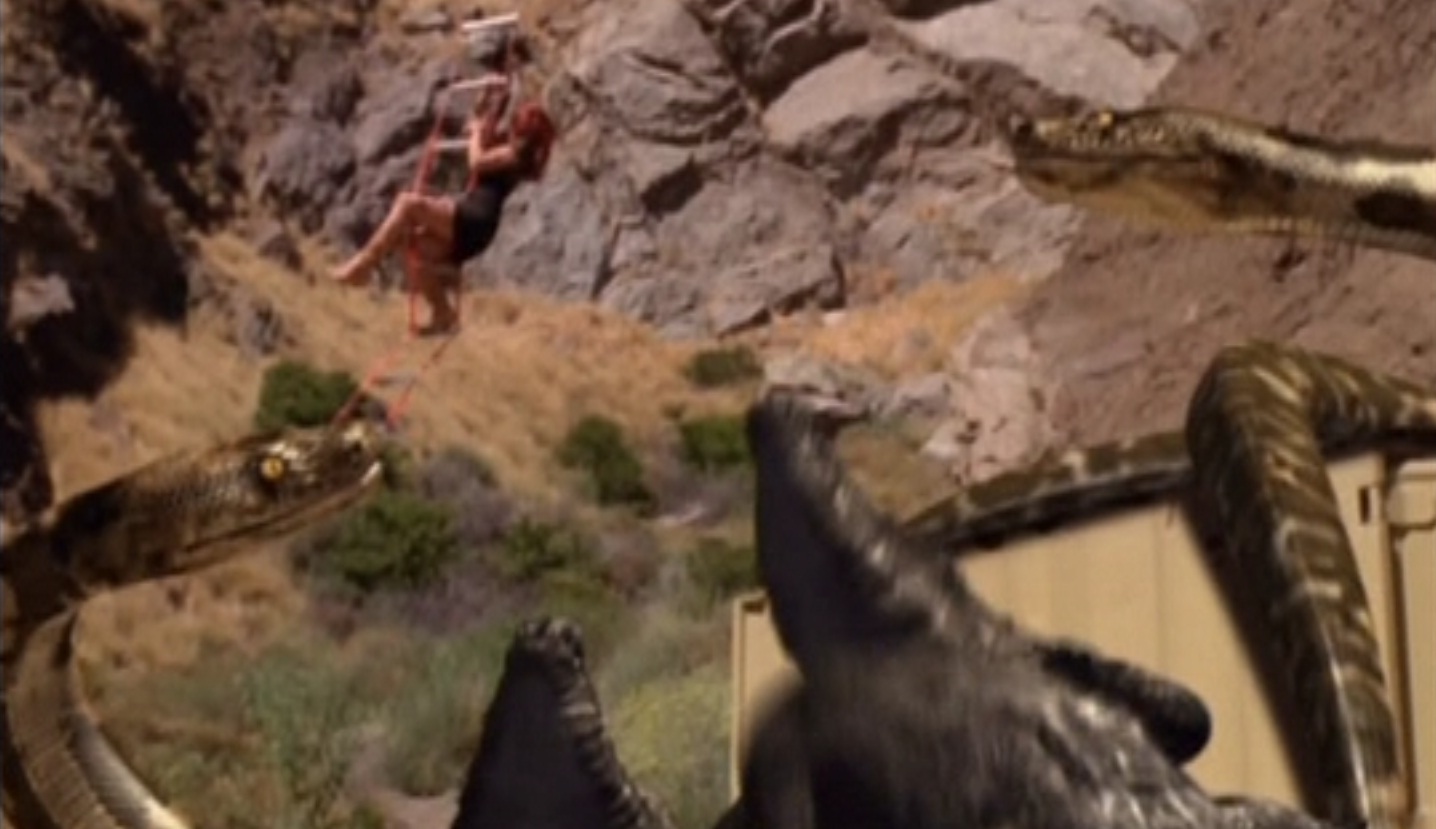 Mega Python Vs Gatoroid Gif