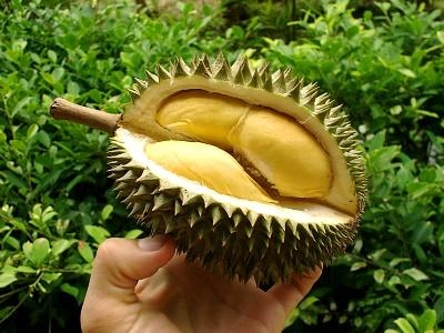 Top 10 Exotic Fruits Probably You’ve Never Heard Of | Top Lists of ...