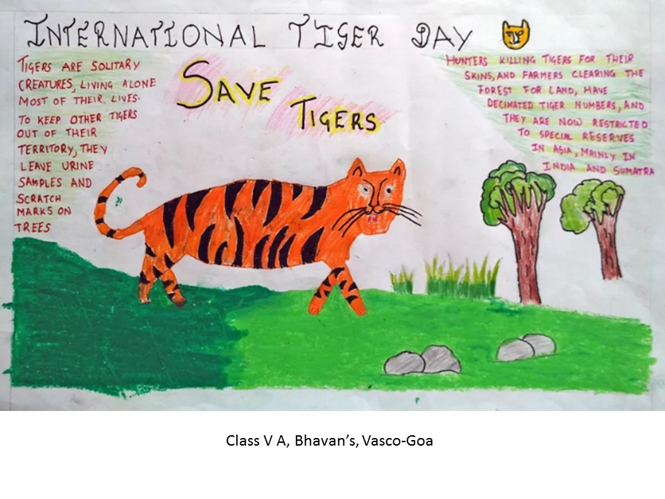International Tiger Day Activities, International Tiger Day Special ...