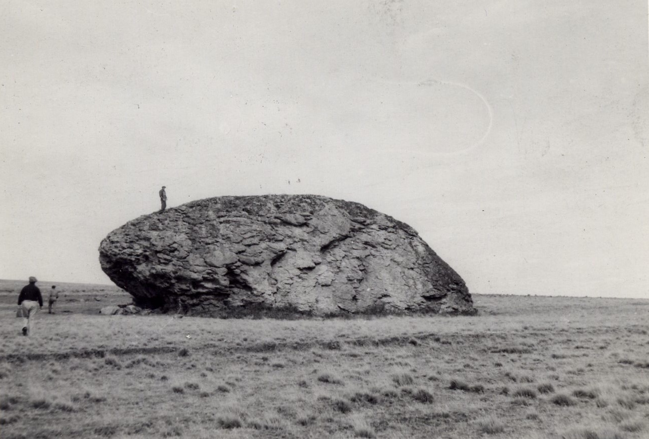 Erratico Significato